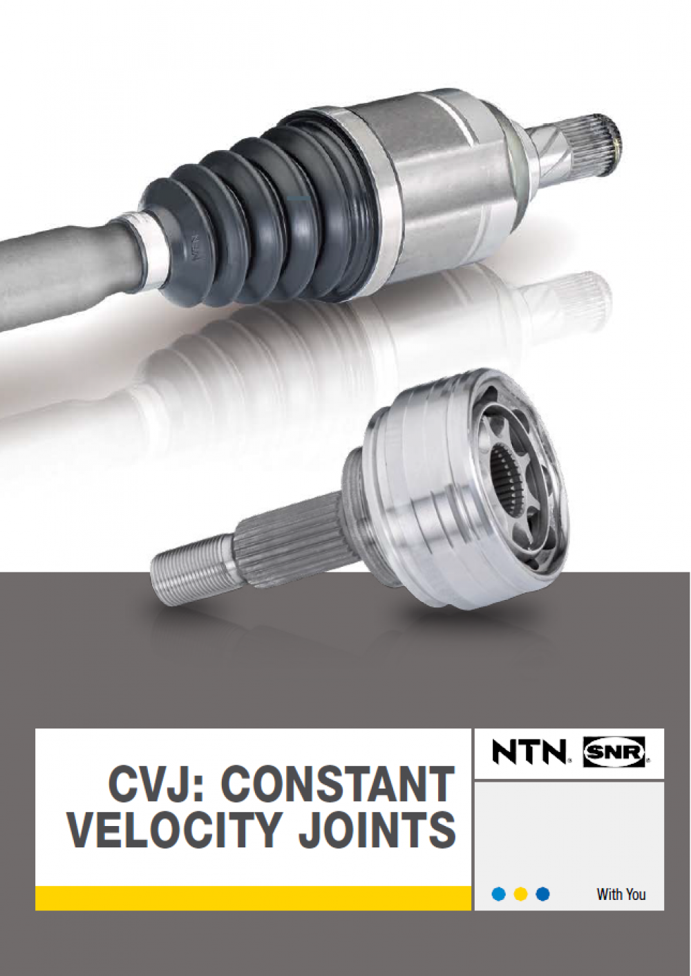 CVJ Constant Velocity Joints - Mineral Circles Bearings